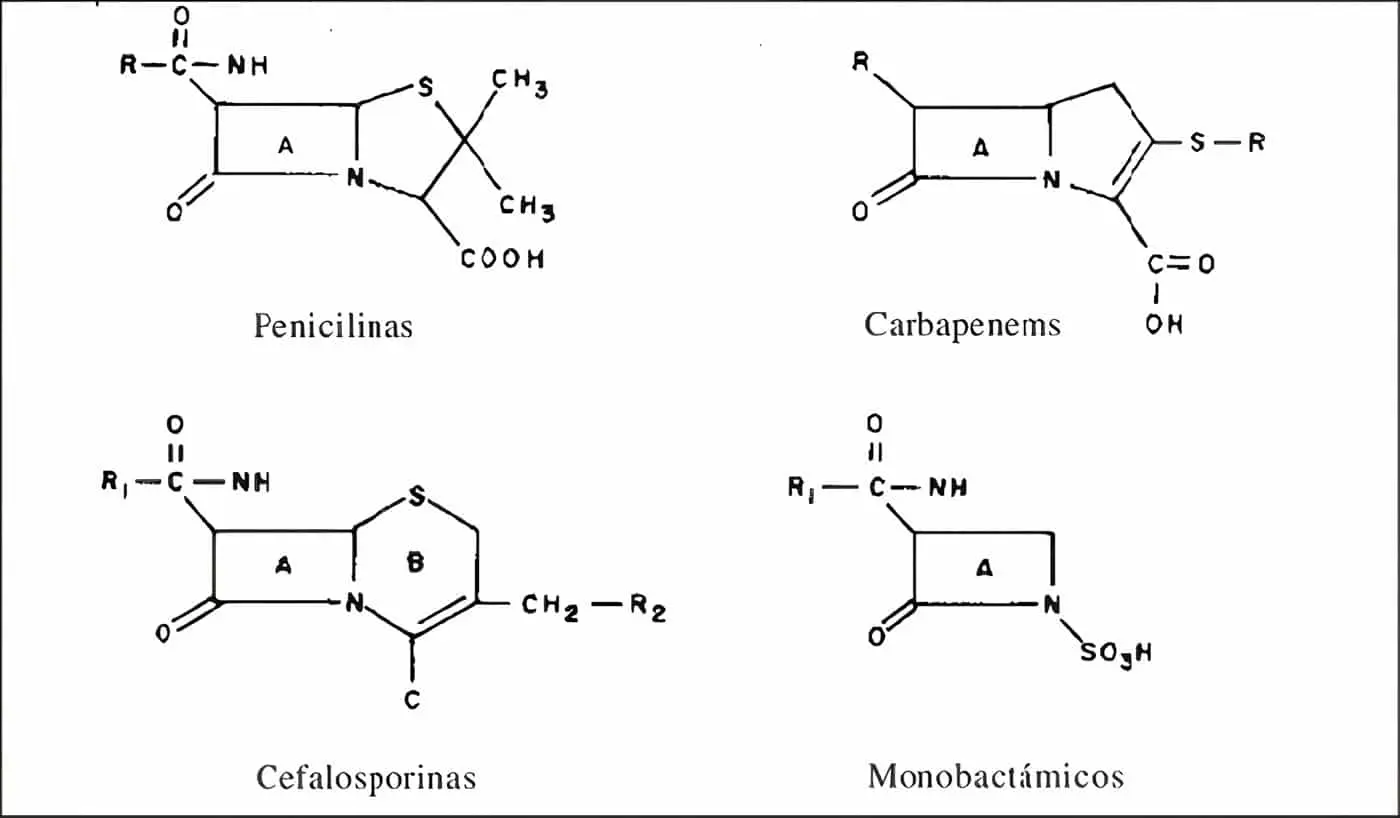 Revista De Inmunología Editorial Volumen 08 Nº 1, Medicina