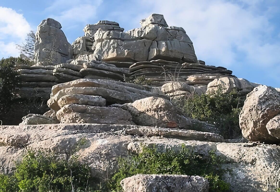 Sobreexplotación de los recursos naturales: causas y soluciones