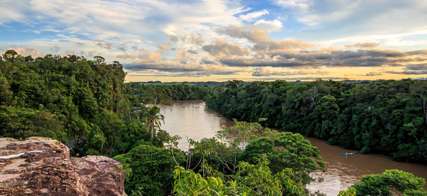 Guainía: capital, relieve, hidrografía, clima, economía, flora y fauna