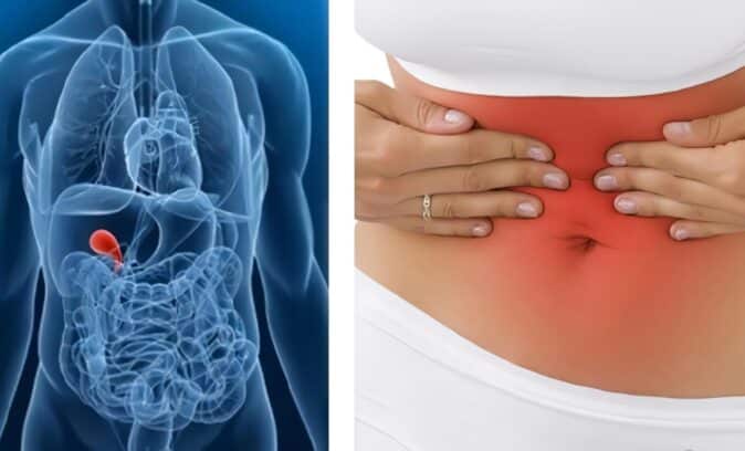 Medicina - Revistas Médicas - Información Científica - Guías