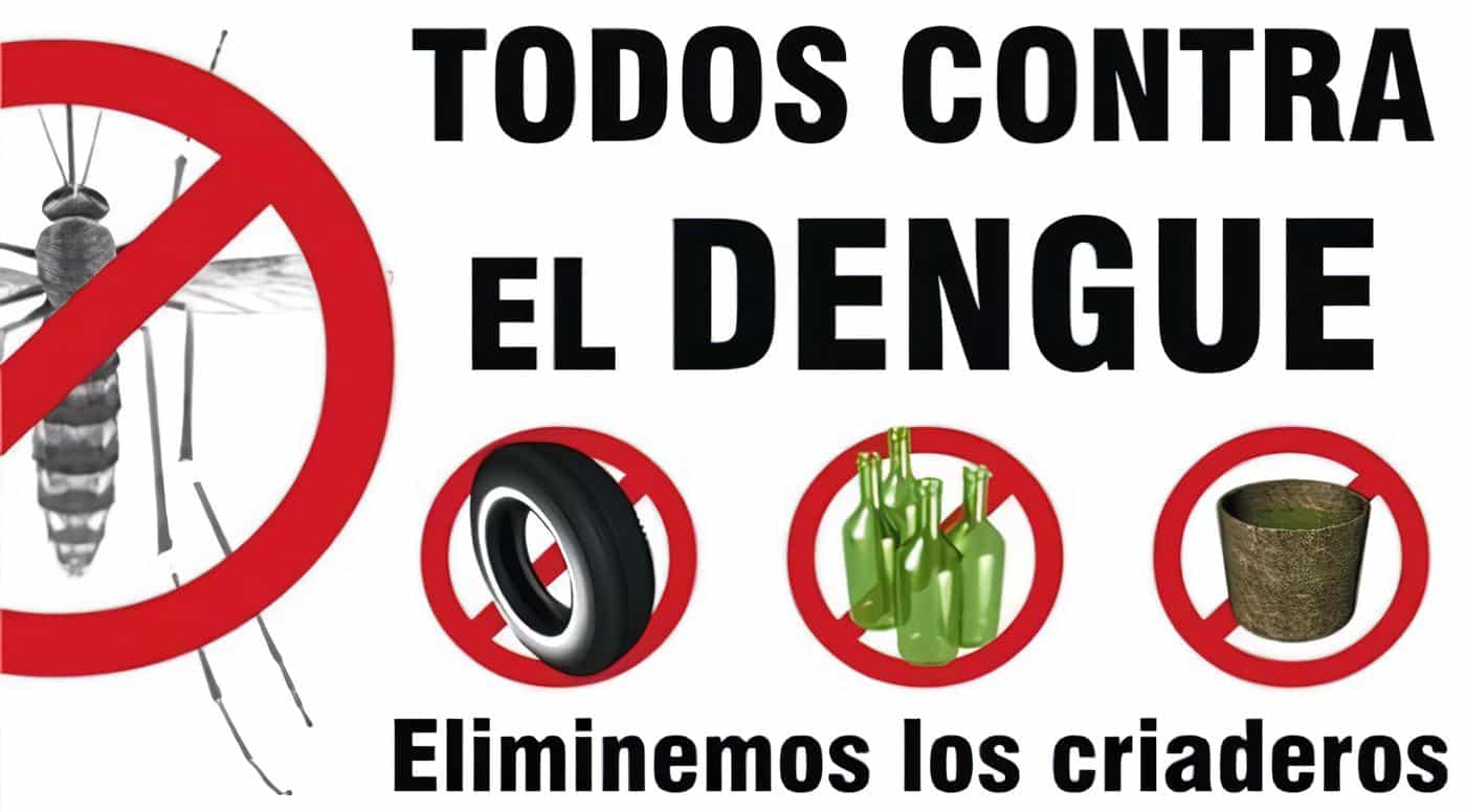 Prevención Y Control Del Dengue, Noticias De Medicina Y Salud