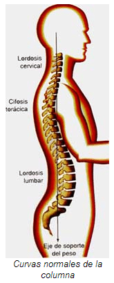 DOLOR LUMBAR, DISCOS INTERVERTEBRALES, MEDULA ESPINAL, COLUMNA