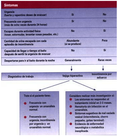 INCONTINENCIA URINARIA, CONTROL DE LA VEJIGA HIPERACTÍVA