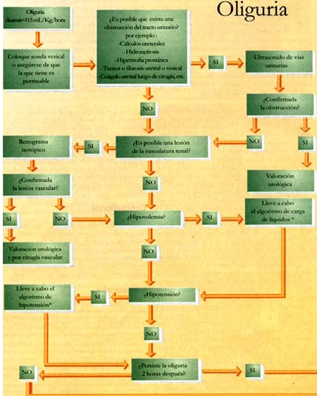 INSUFICIENCIA RENAL AGUDA, MEDICINA, OLIGURIA, REVISTAS MÉDICAS
