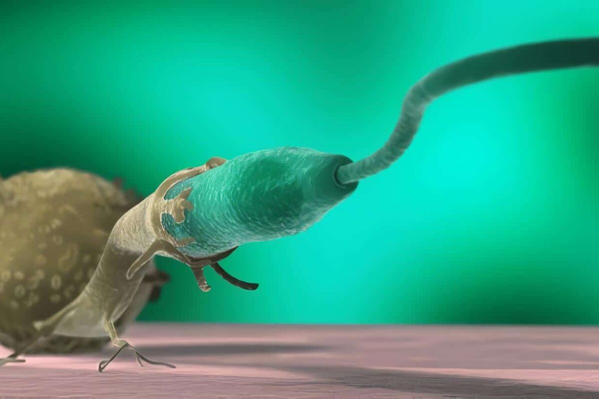 Guía De Atención De La Leishmaniasis, Leishmaniasis Mucosa