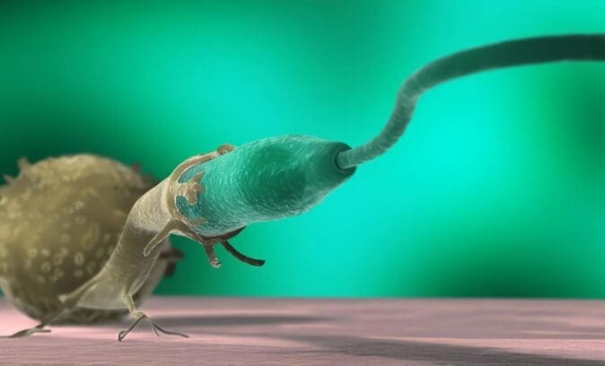 Guías para Médicos | Medicina