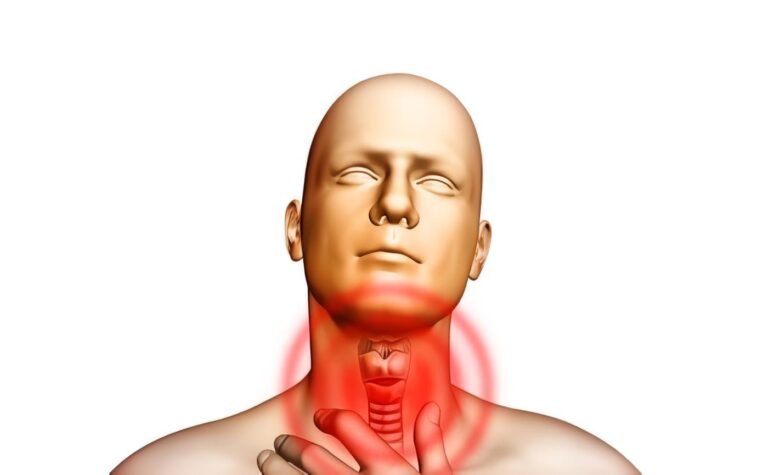 Fisiología De La Glándula Tiroides, Fisiología Endocrina