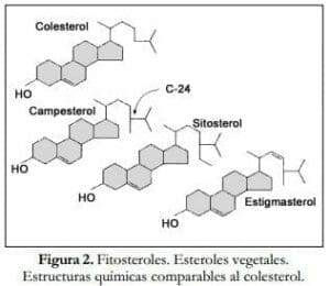 ¿Qué Hacen los Fitosteroles en la Hipercolesterolemia?