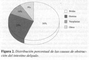 Manifestaciones Clínicas de las Adherencias