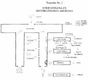 Tratamiento recomendado amebiasis | Epidemiología amebiasis