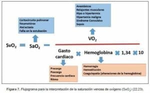 Perfusión Tisular | ¿Cómo interpretar los Gases Arteriales?