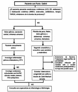Piuria Estéril | Infección del Tracto Urinario |Tuberculosis Urogenital