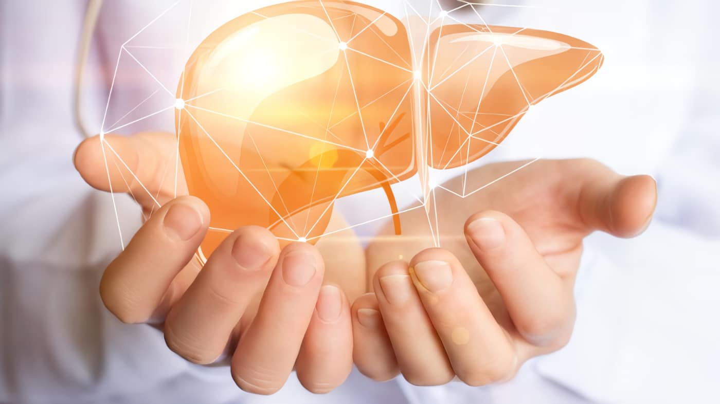 Cáncer De Hígado, Prevención Cáncer De Hígado, Guía