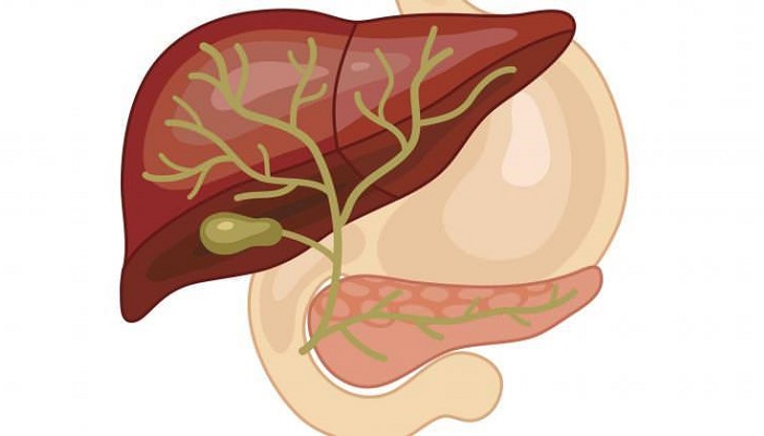 Incidencia De Lesión De Vías Biliares, Revistas Médicas