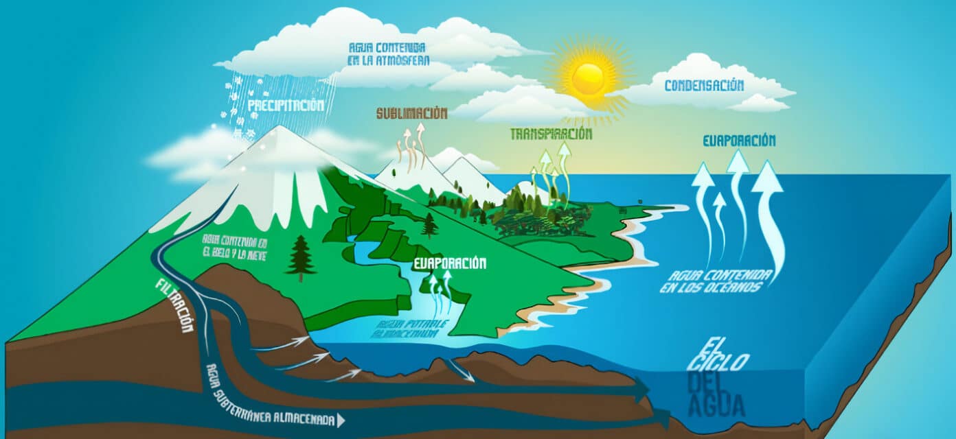 Ciclos biogeoquímicos: qué son, cuáles son todos y su importancia