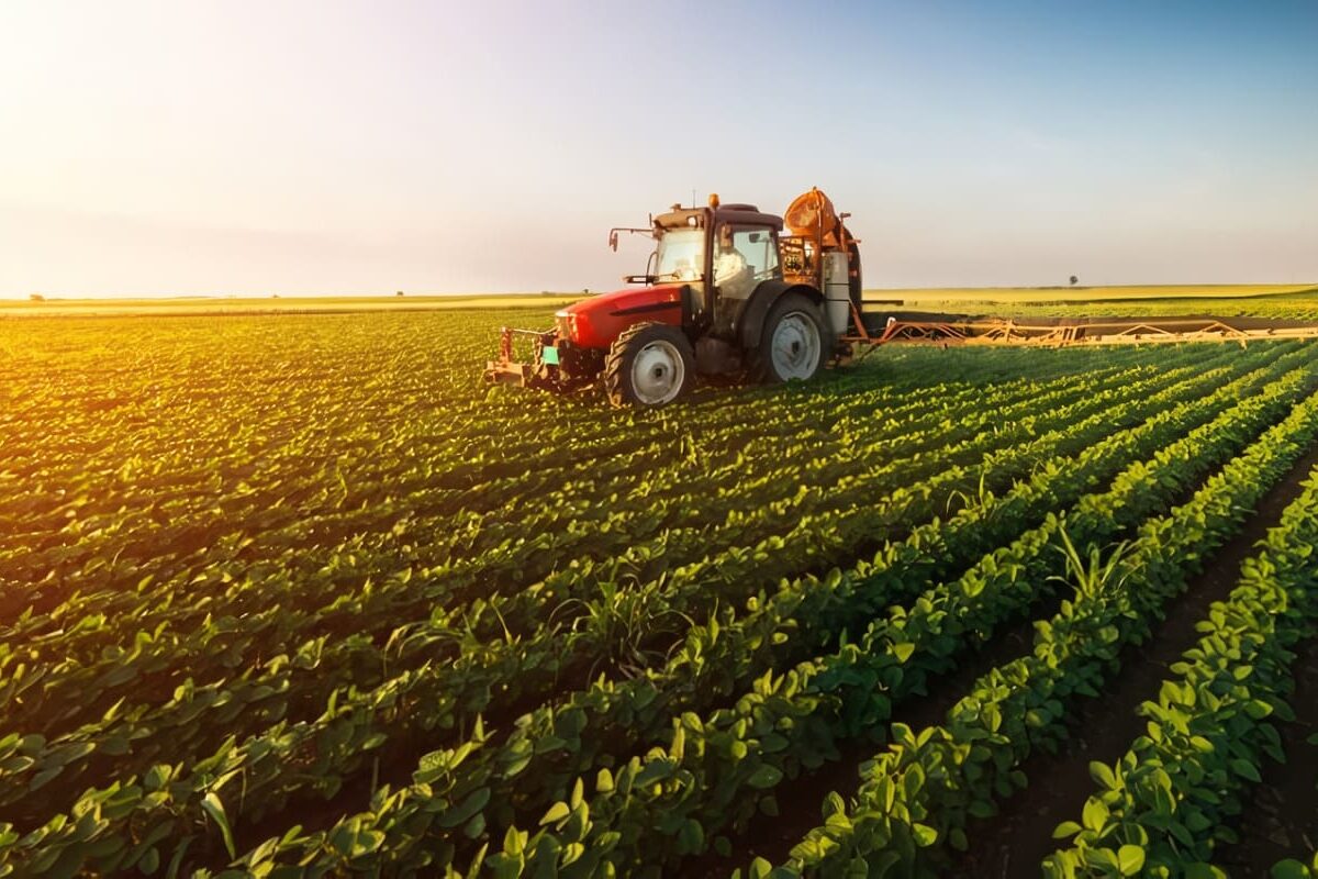 Agricultura moderna: qué es, técnicas y 8 ejemplos