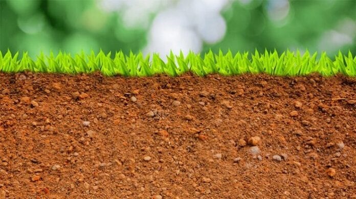 Conservación del suelo, manejo responsable y sostenible del recurso