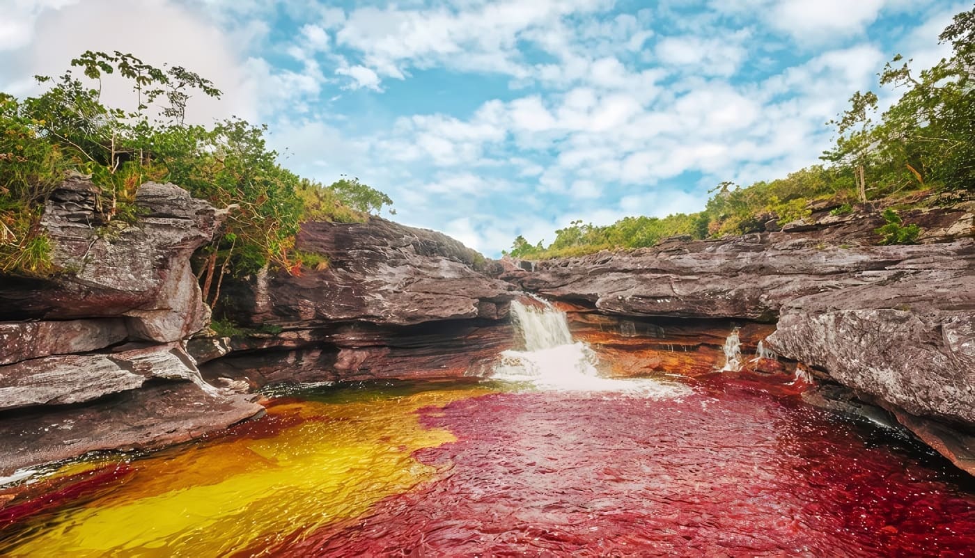 Flora en Colombia: orquídeas, árboles y diversidad