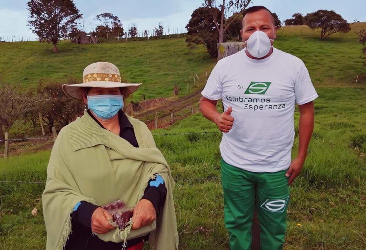 SUELOS HUMÍFEROS | Características, usos y tipos de suelos