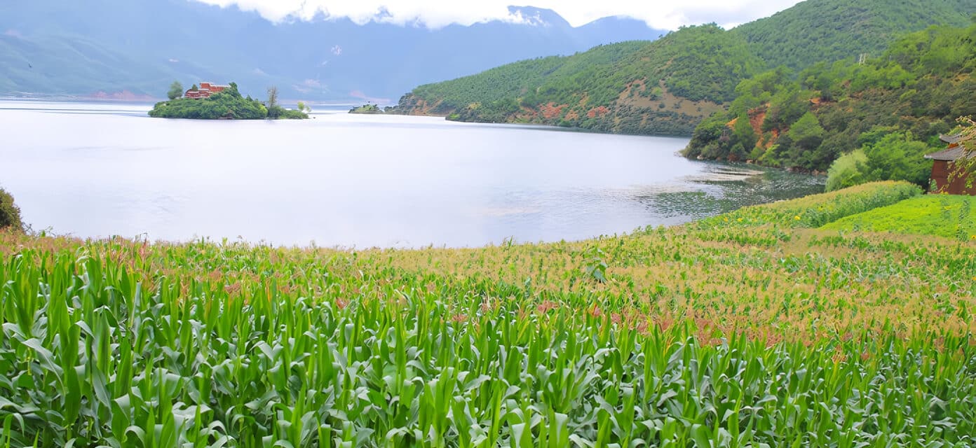 Manejo del Recurso Tierra y Agua, Conservación e Importancia