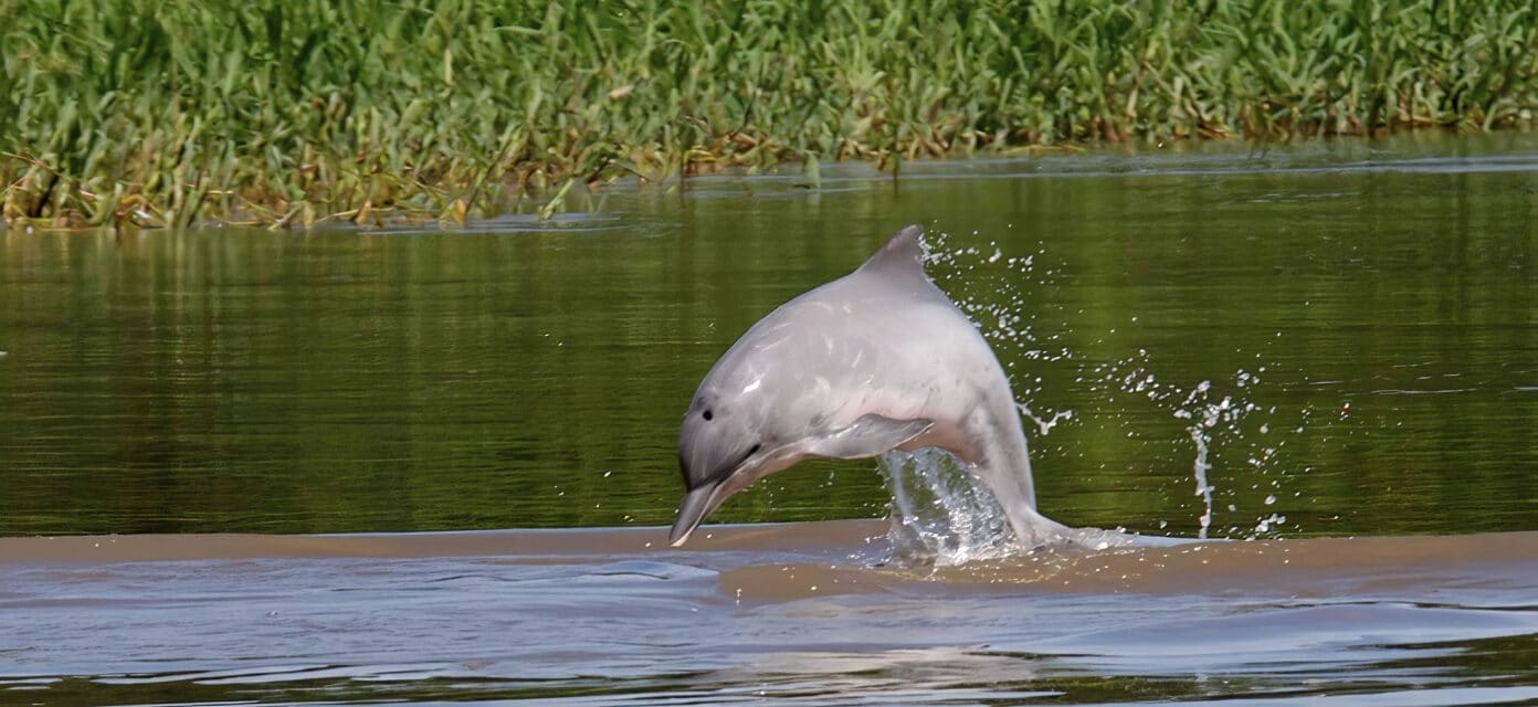 Los Ríos más Largos del Mundo - Geografía Universal