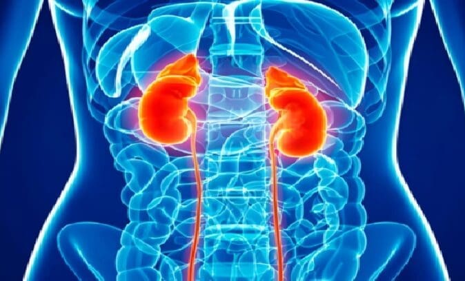 INC - Instituto Nacional de Cancerología ESE Colombia
