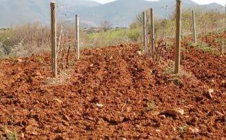 Suelos Calizos qué son, Características de los Suelos Calcáreos