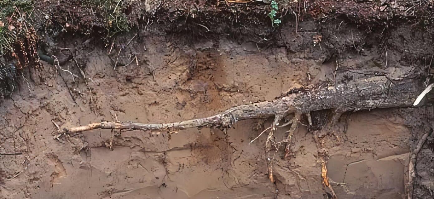 Suelos Leptosoles - Temas de Agronomía