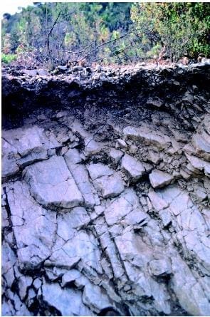 Suelos Leptosoles - Temas de Agronomía