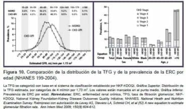 Evaluación de la TFG (TFGecreat)