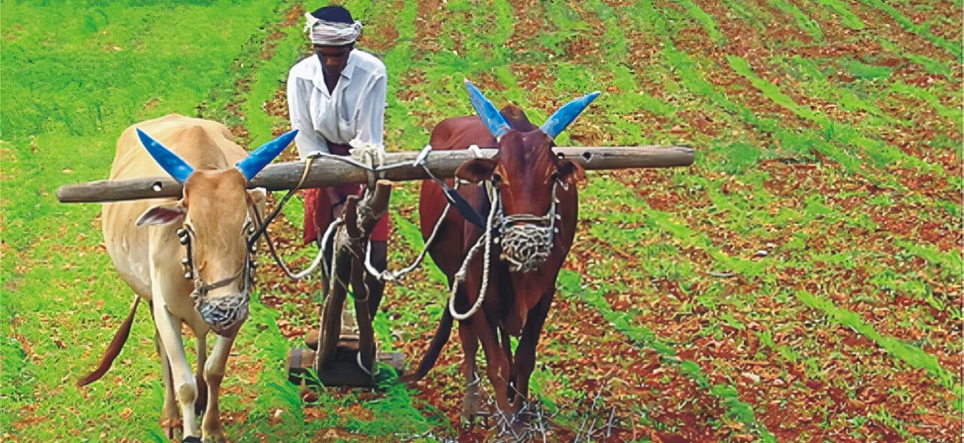 Agricultura Tradicional: Cultivo de tierra sin tecnificación y artesanal
