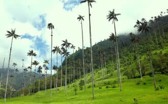 Climas en Colombia, Características, Clima Tropical, Templado, Seco