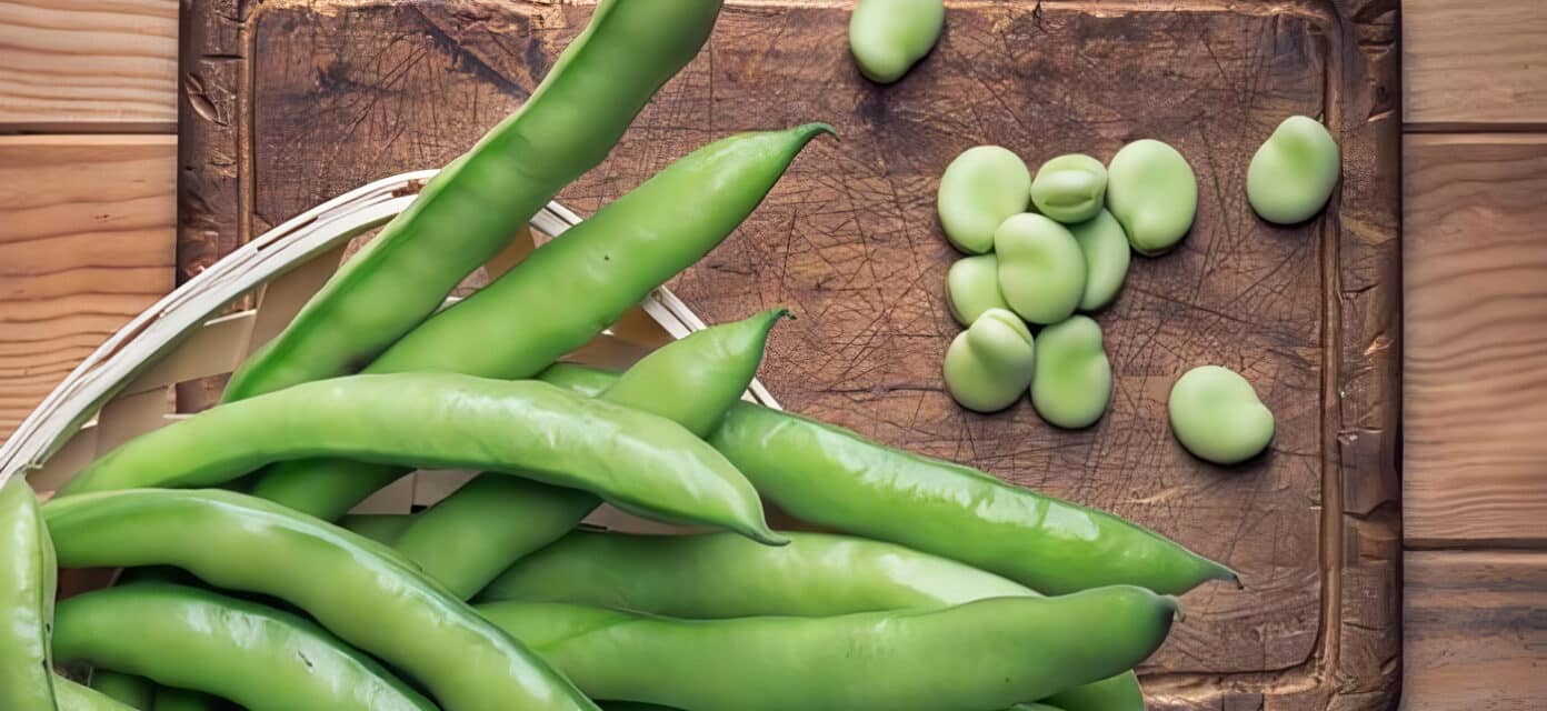 Cultivo de Haba: guía para la siembra, cuidado y cosecha
