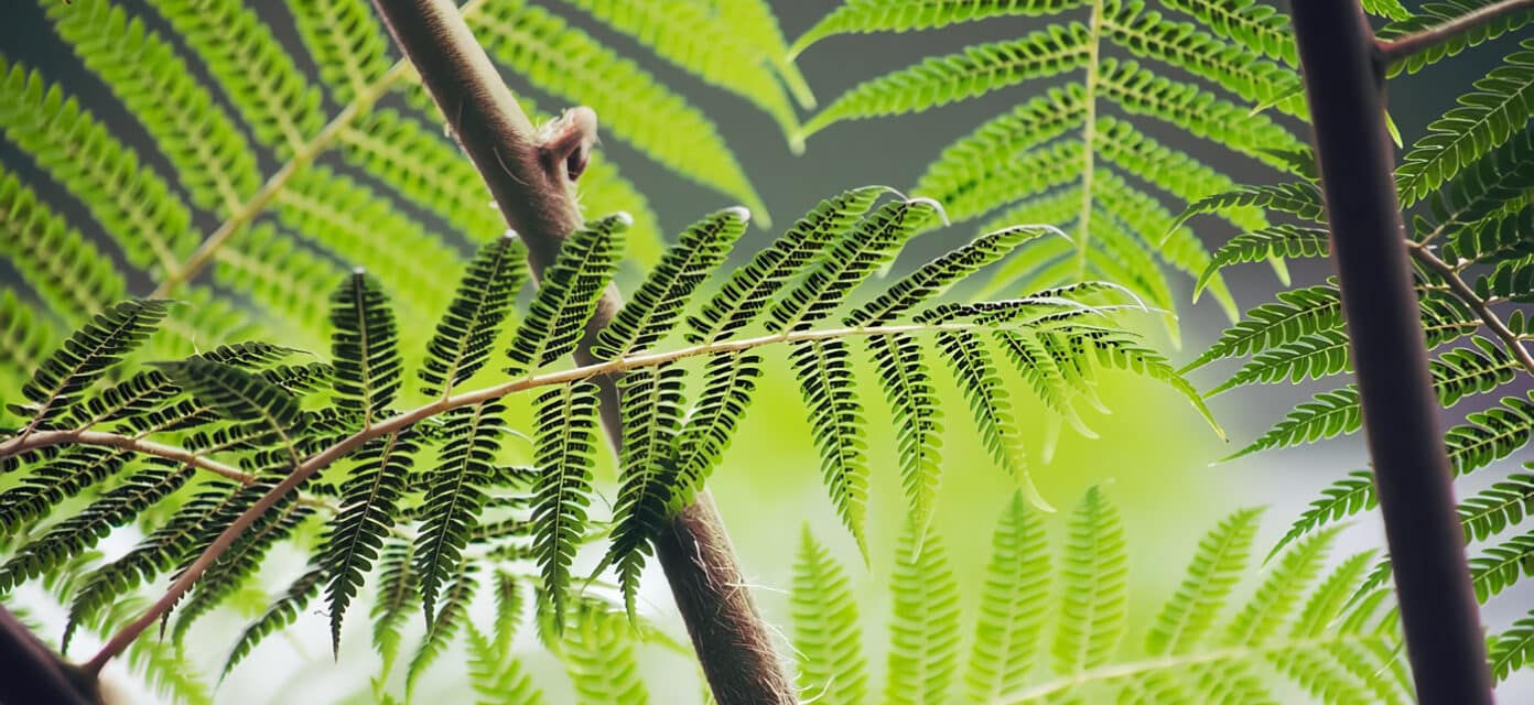 Qué son las Plantas Vasculares - Temas de Agronomía