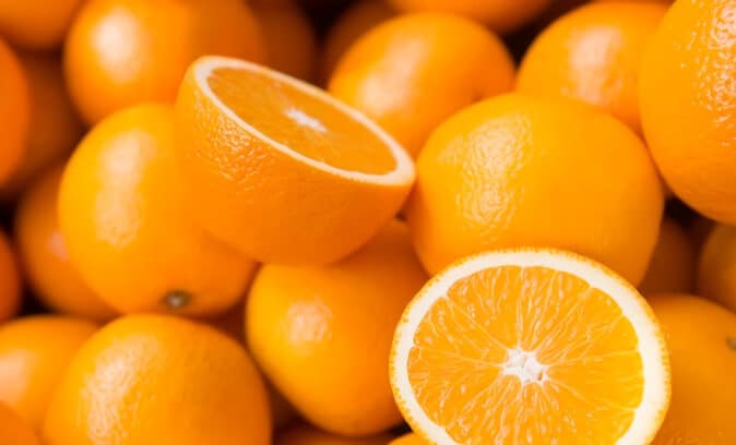 Agroindustria - Cultivos de Frutas - Floricultura - Economía