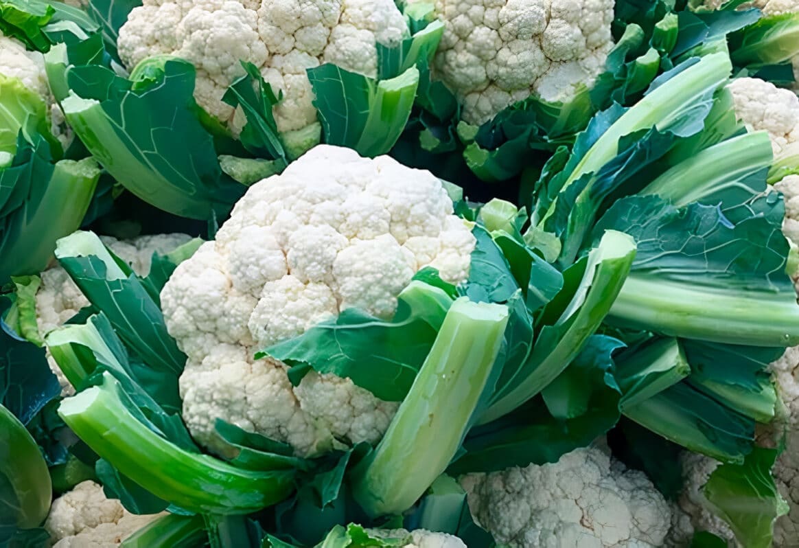 Selena Gómez, una estrella nacida en Disney | Vida Famosos