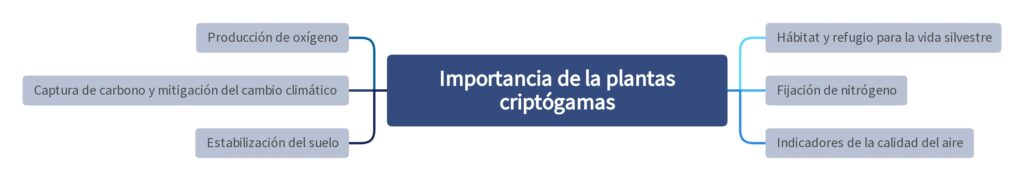 Plantas criptógamas: qué son, características, tipos y ejemplos