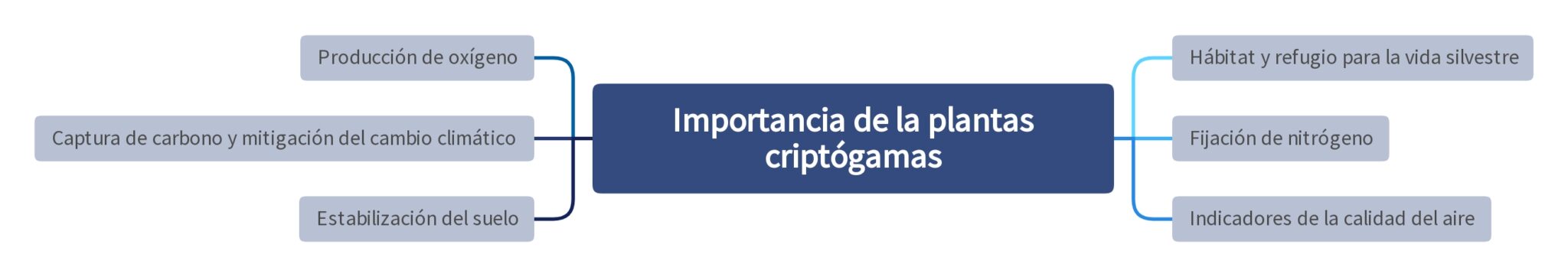 Plantas criptógamas: qué son, características, tipos y ejemplos