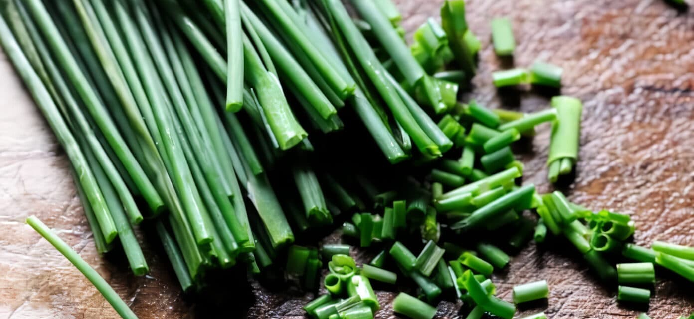 Cultivo de cebollino: usos, características, beneficios y cuidados
