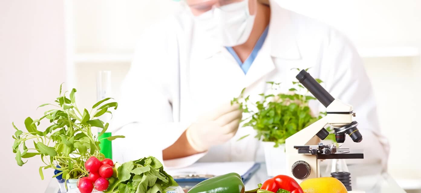 Tecnología de los alimentos, Qué es tecnología alimentaria