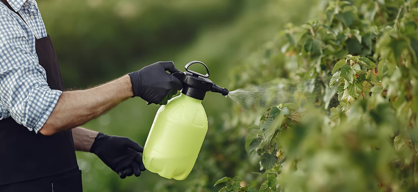 Qué son los Fungicidas, Tipos, Acción y Alternativas