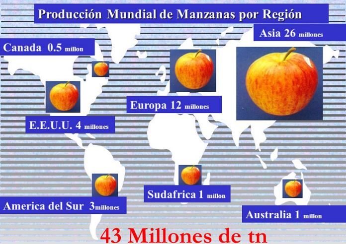 Guía completa sobre el Cultivo de Manzana: Siembra y Cosecha