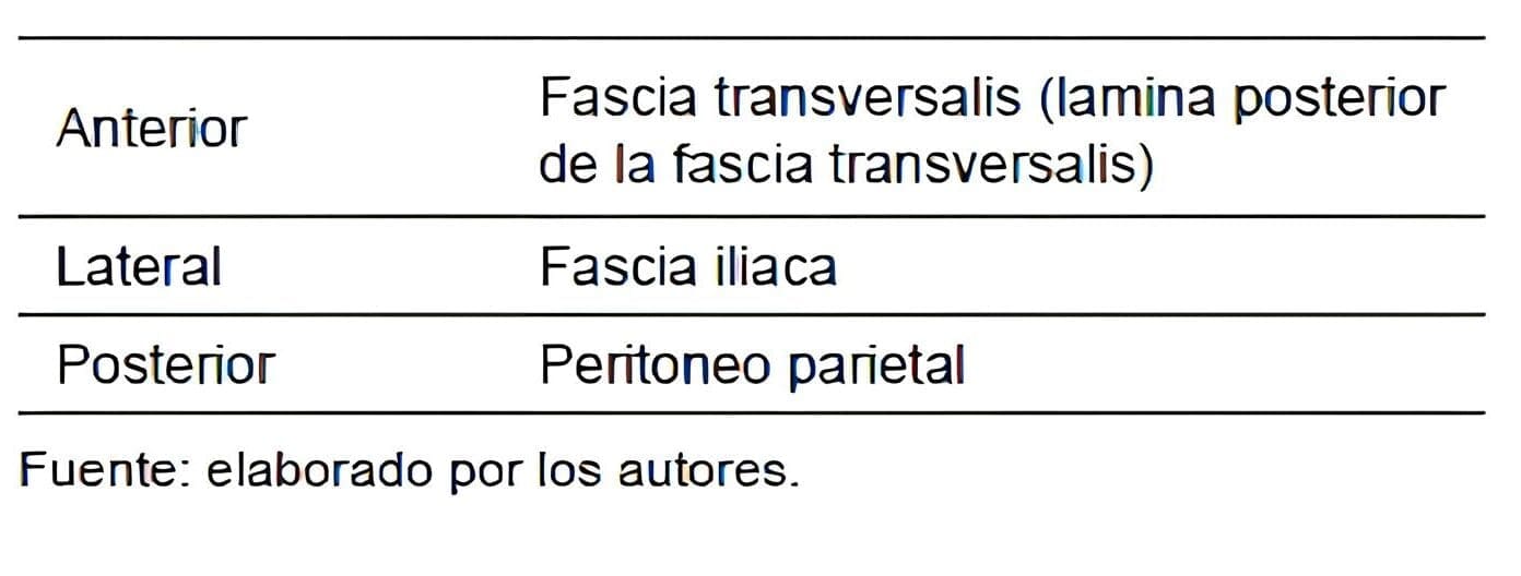 Espacio Extraperitoneal | Abordajes Quirúrgicos | Hernia Inguinal