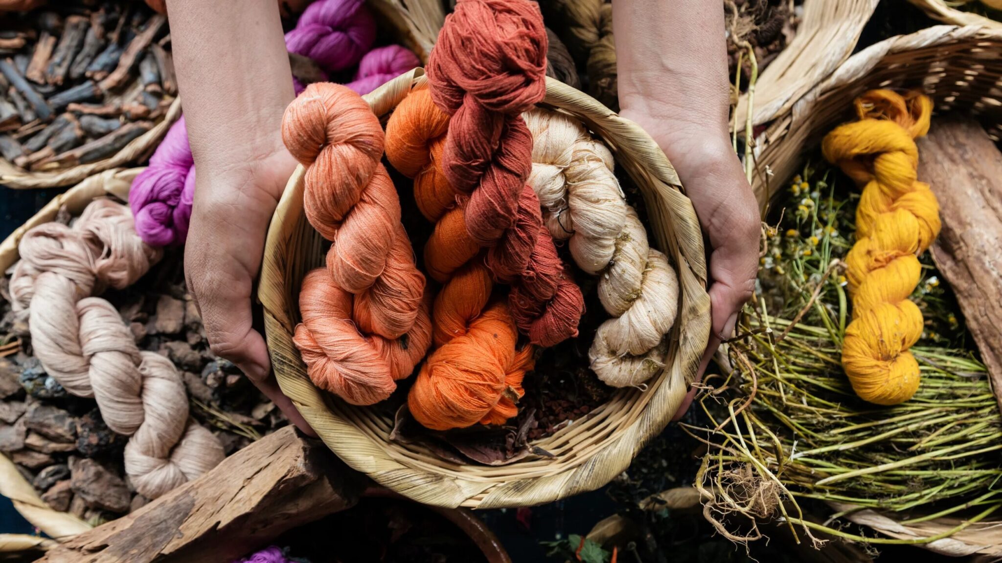 Tintes naturales para textiles: biotecnología, impacto ambiental