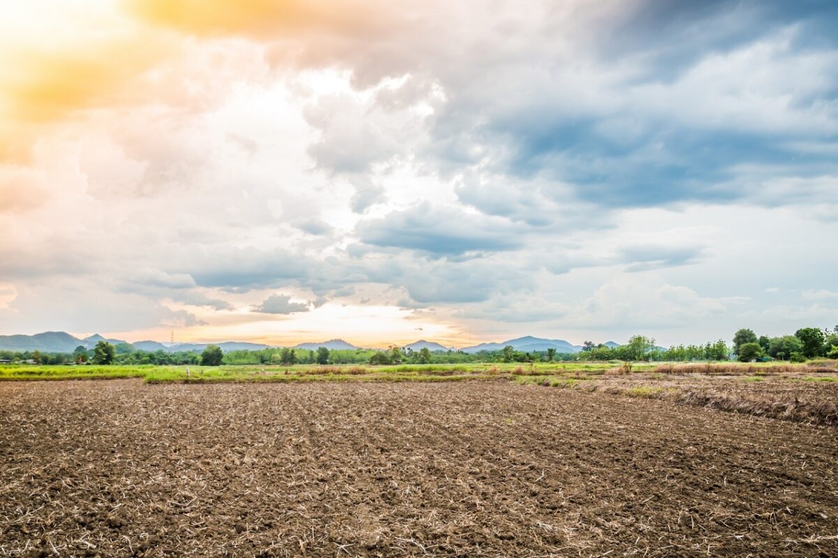 Desafíos de la Agricultura Actual y qué se espera en 2024