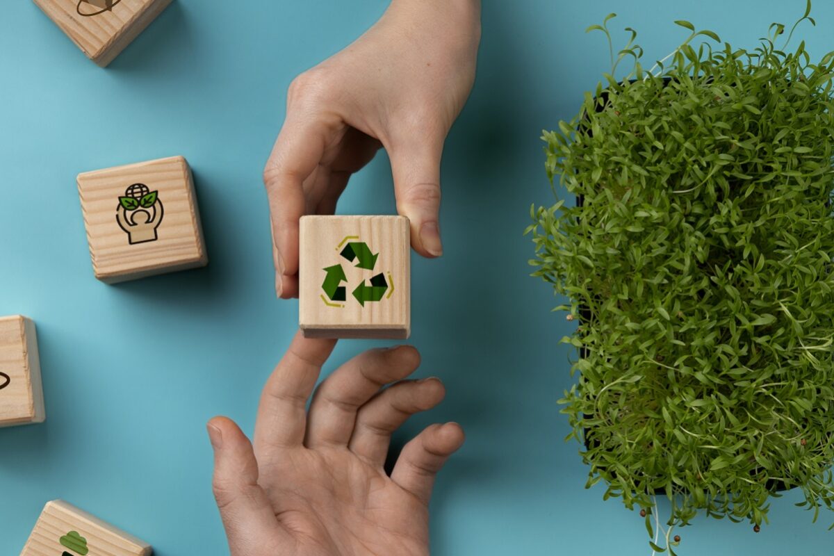 Economía Regional: qué es, cómo influye y sus beneficios