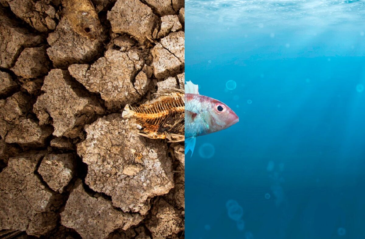 El Permafrost qué es y su impacto en el Equilibrio Climático ️